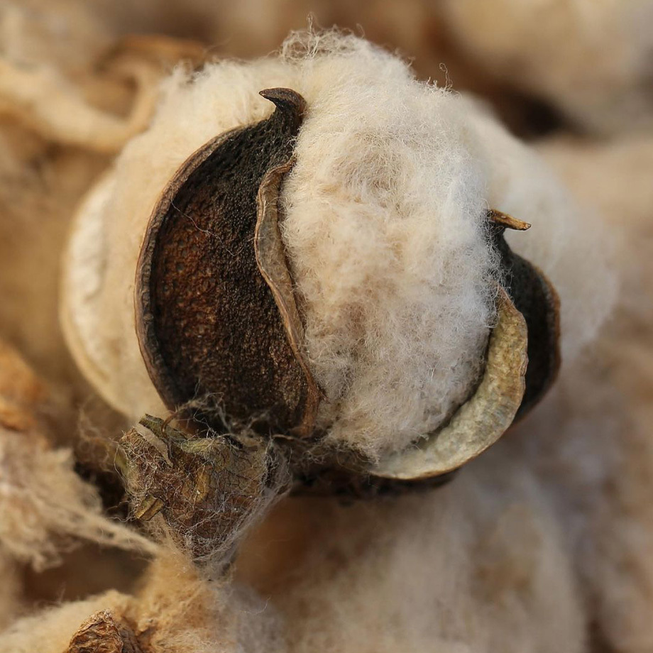 Men’s Shirts With Soktas Fabrics – Apposta